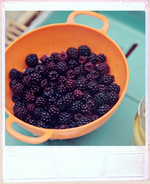 Blackberry Coulis Recipe - Honeybuns